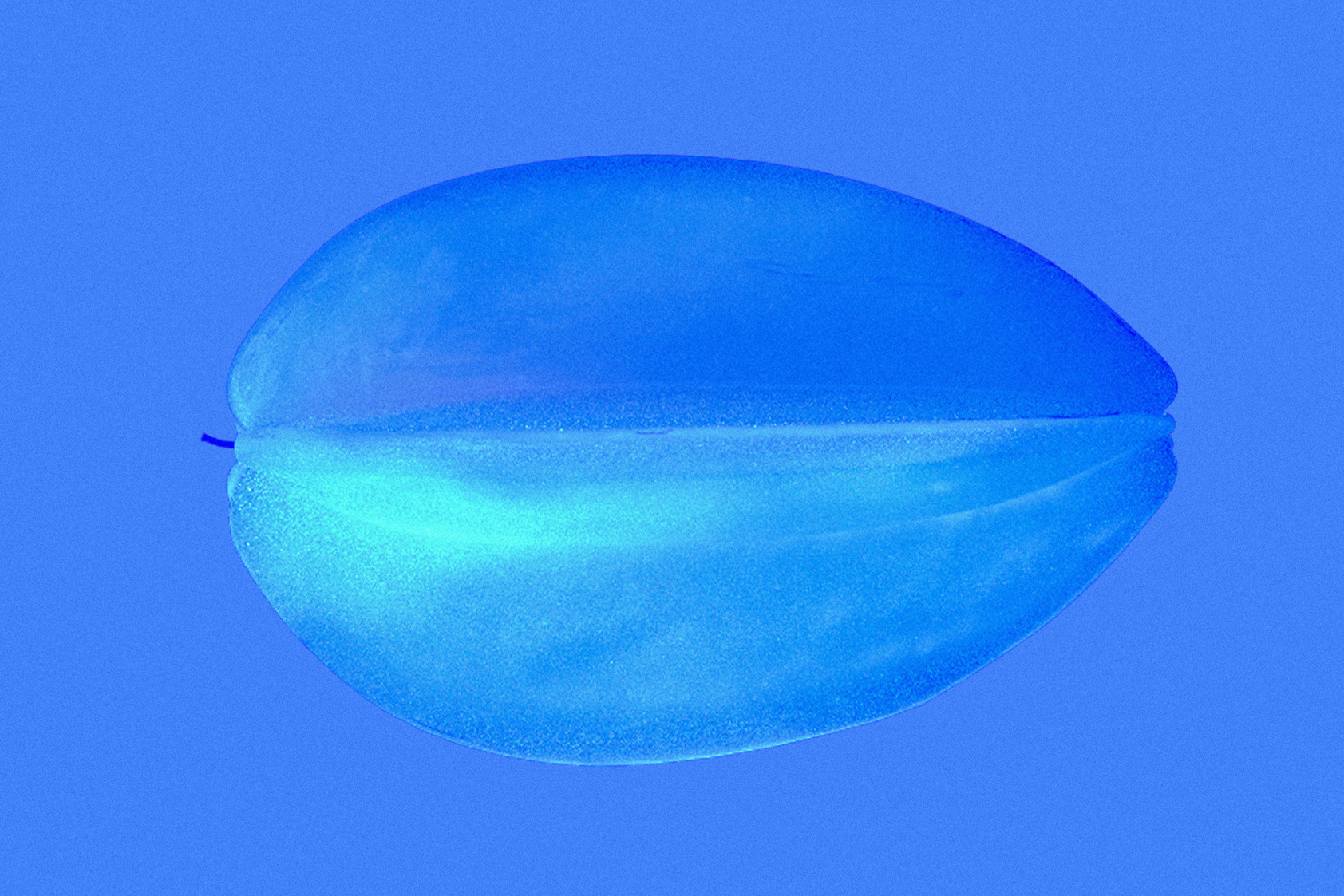 Design & Art direction — Chroma